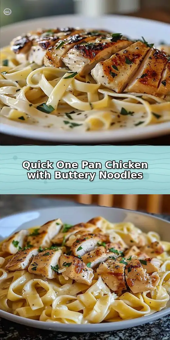 Quick One Pan Chicken with Creamy Buttered Noodles Recipe